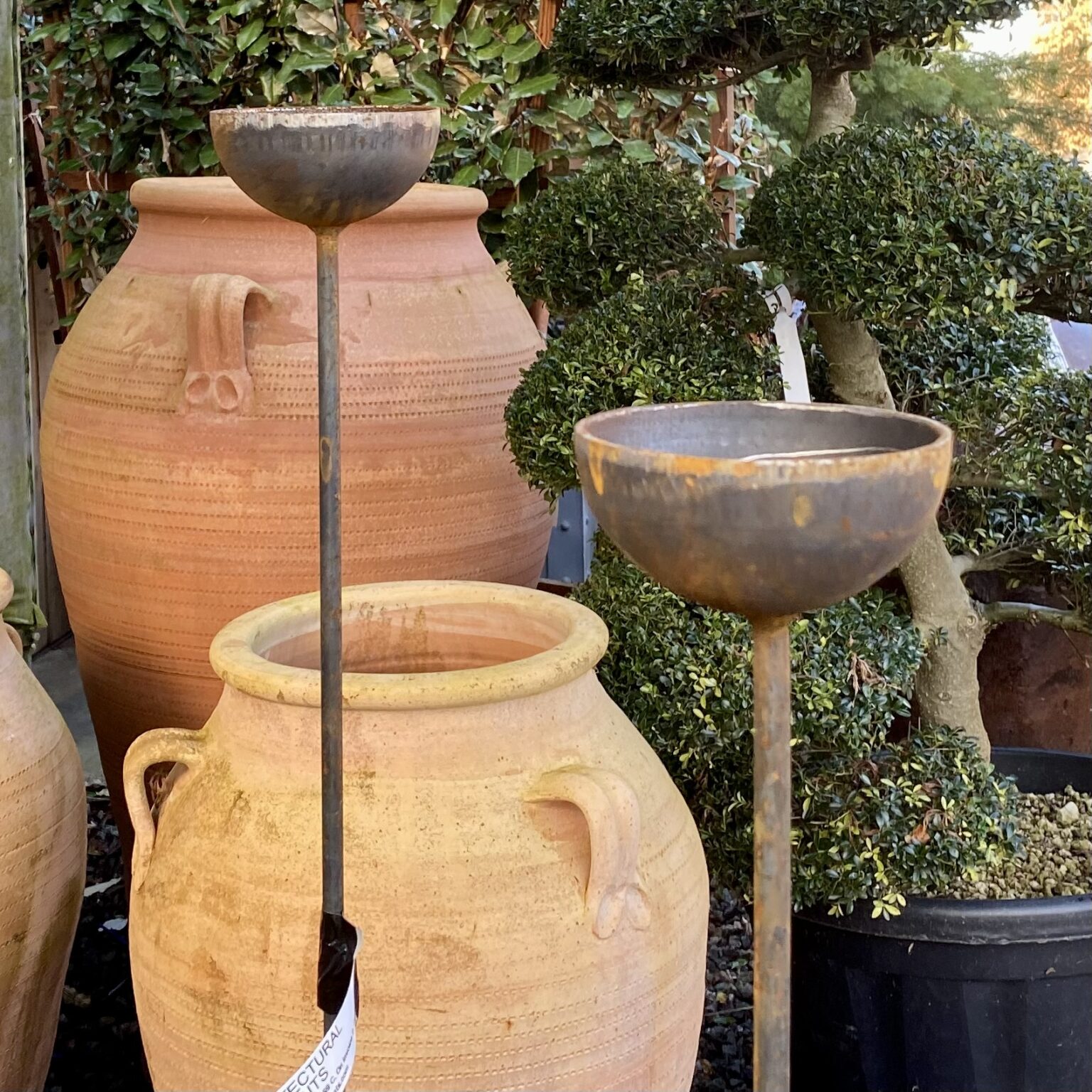 Buy Steel Garden Rain Catcher - Architectural Plants