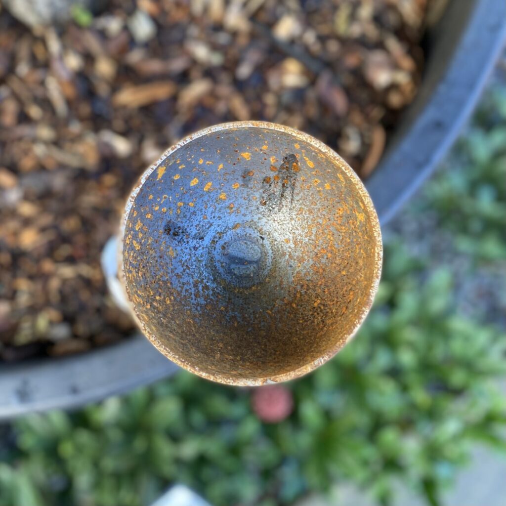 Buy Steel Garden Rain Catcher - Architectural Plants