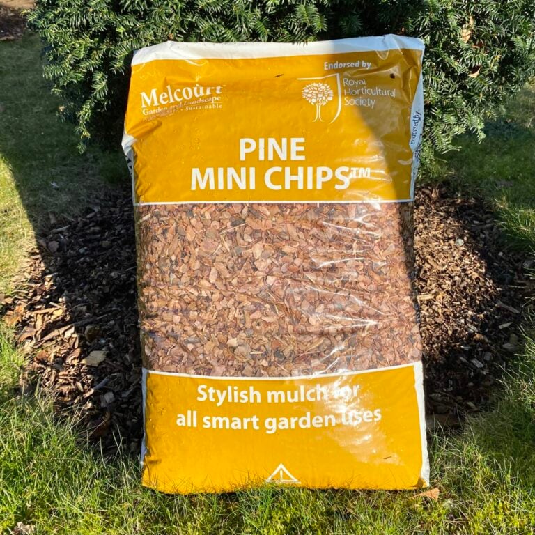 Buy Melcourt Pine Mini Mulch - Architectural Plants