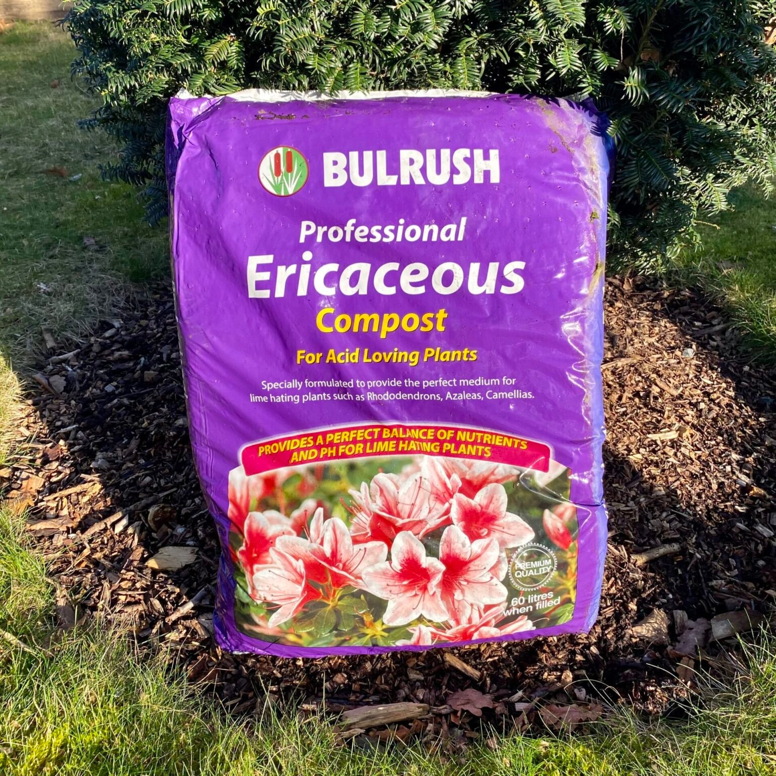 Buy Ericaceous Compost - Architectural Plants