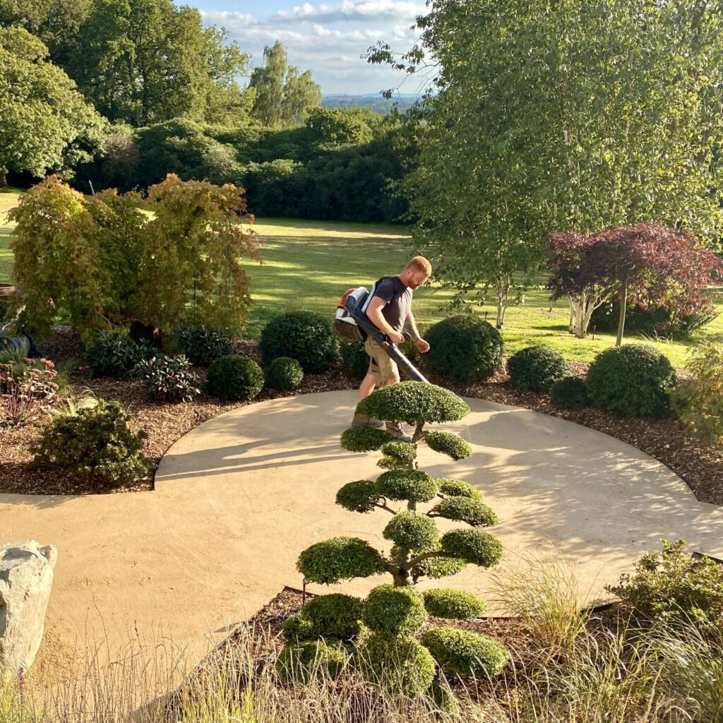 Guildford Garden Design by Architectural Plants