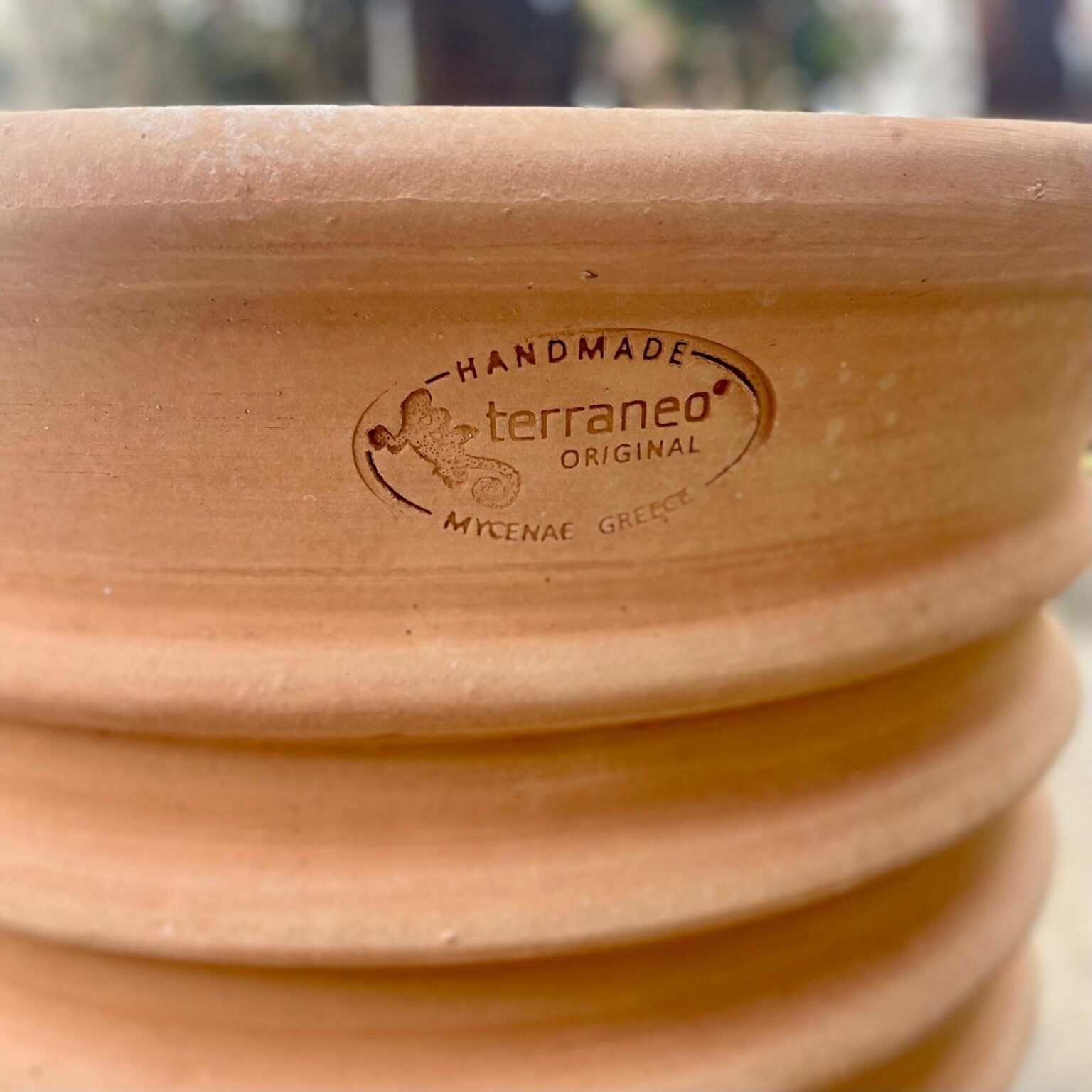 Buy Terraneo Exara Terracotta Pot - Architectural Plants