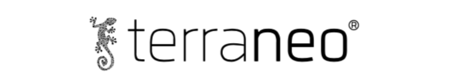 Terraneo Pots - Architectural Plants