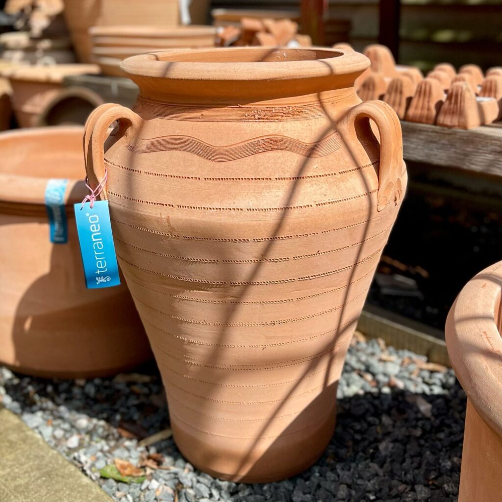 Buy Terraneo Pithos Terracotta Pot - Architectural Plants