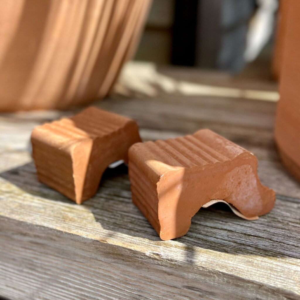 Buy Terraneo Terracotta Pot Feet - Architectural Plants