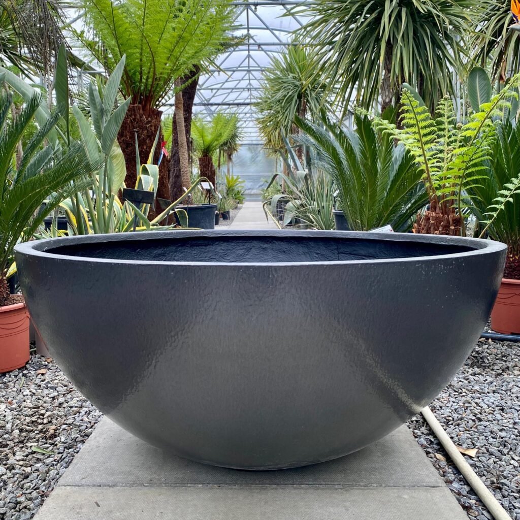Stuart Round Planter - Architectural Plants