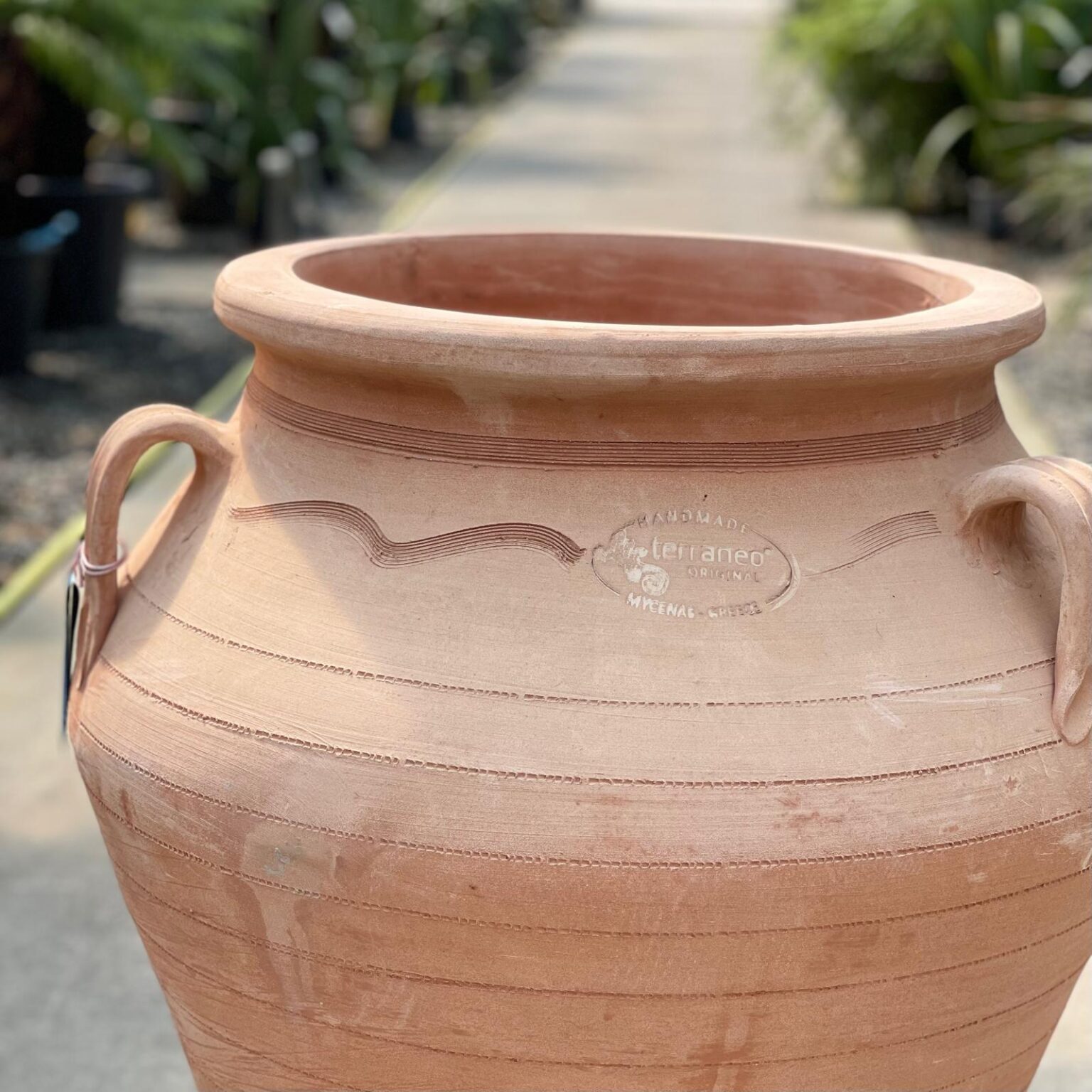 Buy Terraneo Pithos Terracotta Pot - Architectural Plants