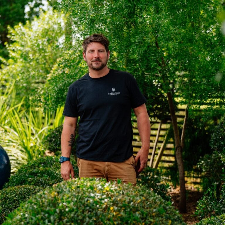 Garden Designers - UK Garden Design - Architectural Plants