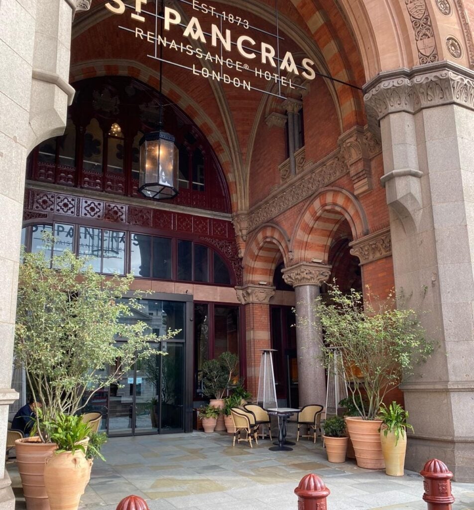 Top 4 Plants to Elevate Your Hotel Entrance - Architectural Plants