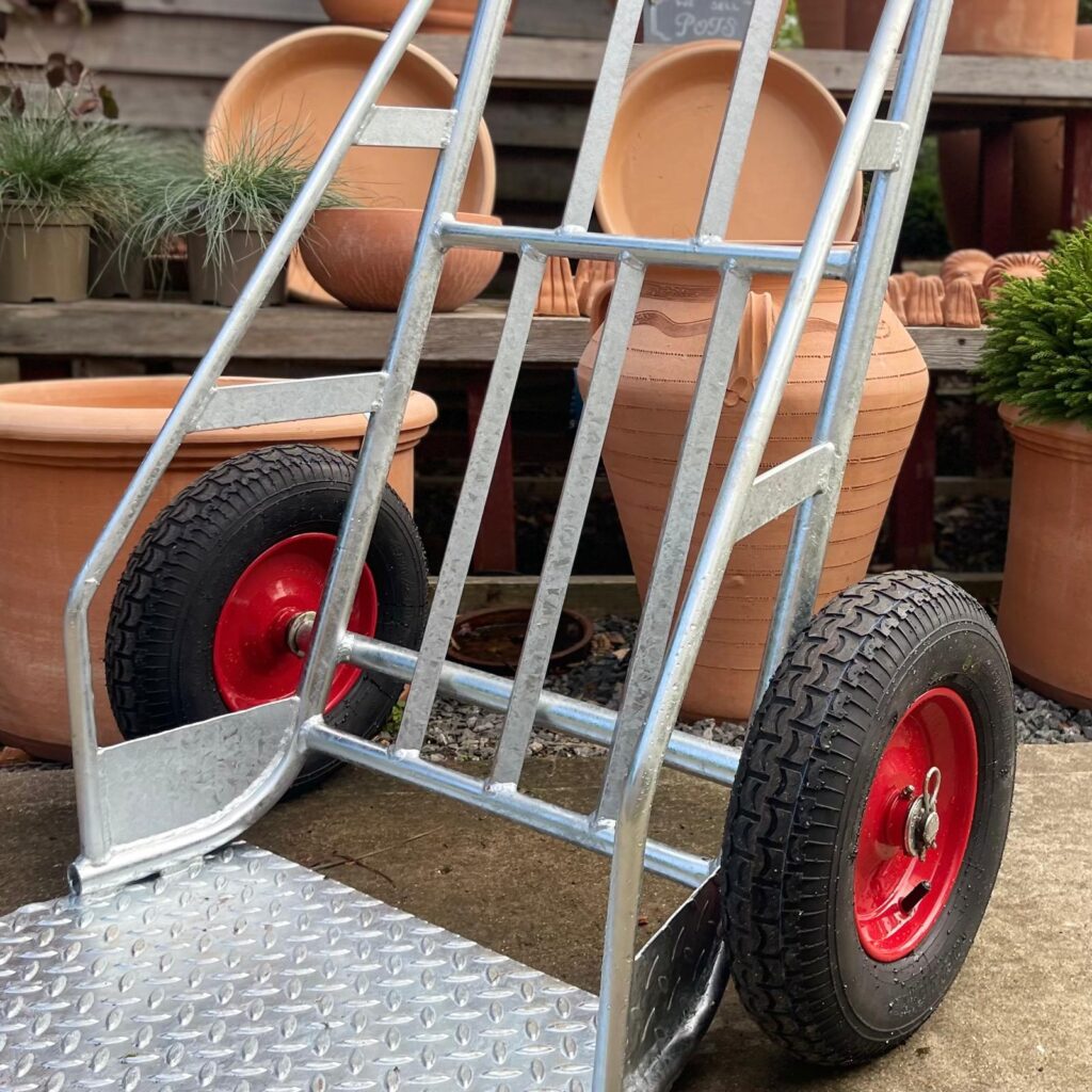 Buy AP Sackbarrow - Architectural Plants