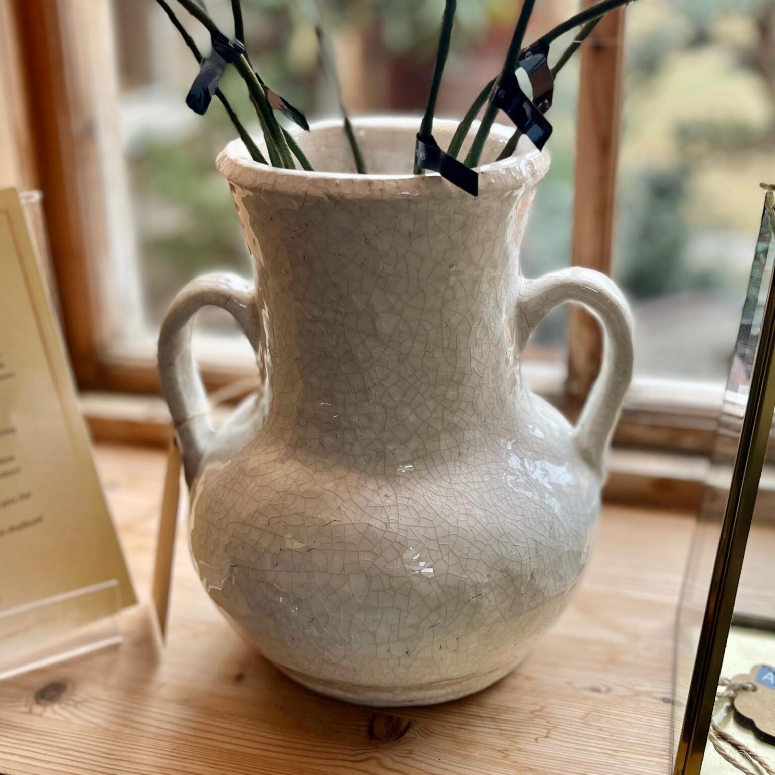 Buy Ravello Vase With Handles - Architectural Plants