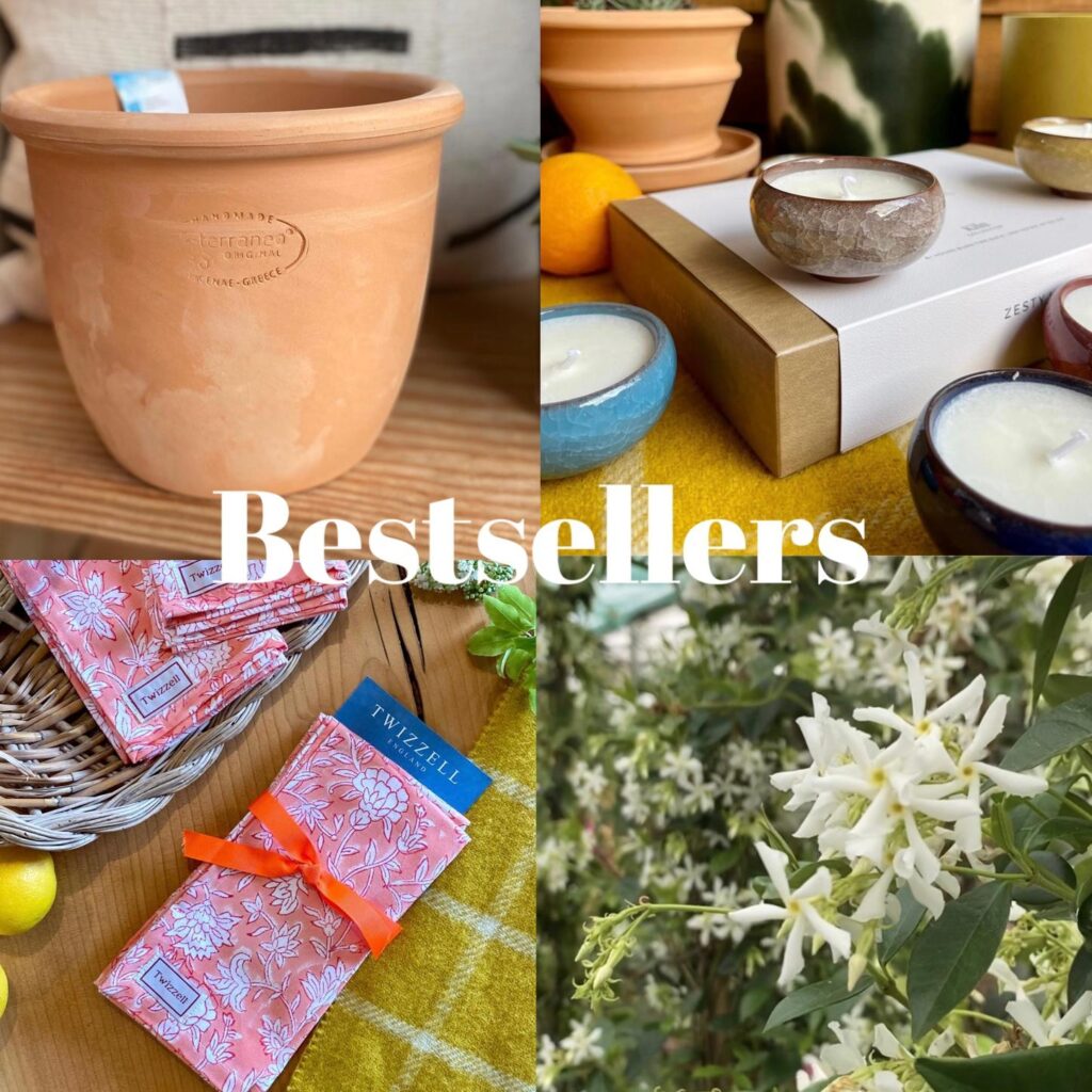 Top 5 Blobs for your Blobbery - Architectural Plants