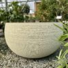 Torc Pots - Architectural Plants