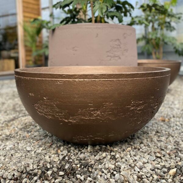 Torc Pots - Architectural Plants