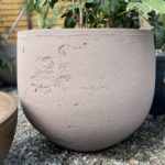 Torc Pots - Architectural Plants