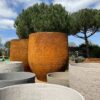 Torc Pots - Architectural Plants