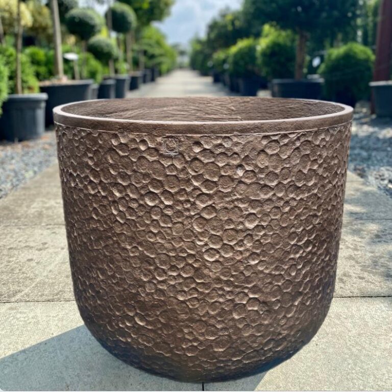 Torc Pots - Architectural Plants