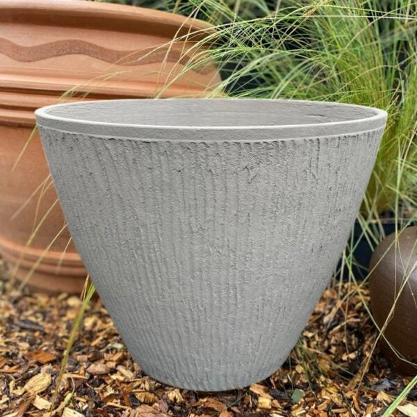 Torc Pots - Architectural Plants