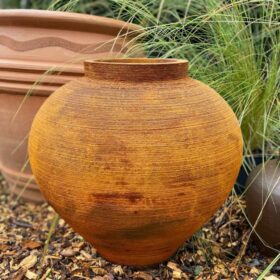 Torc Pots - Architectural Plants